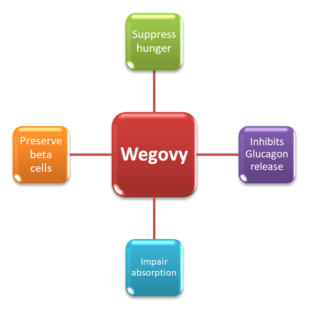 Wegovy Weight Loss Before and After Pictures with Reviews