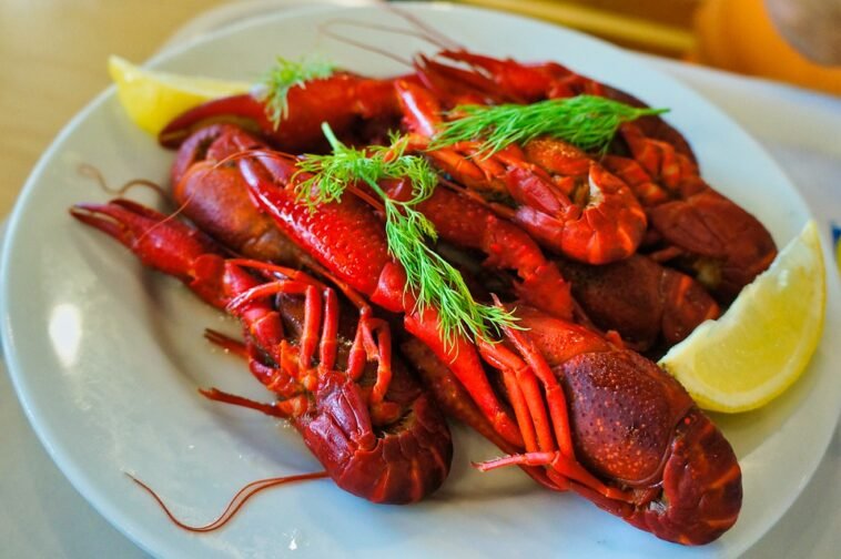 Health Benefits Of Red Lobsters And Nutritional Facts - Dibesity